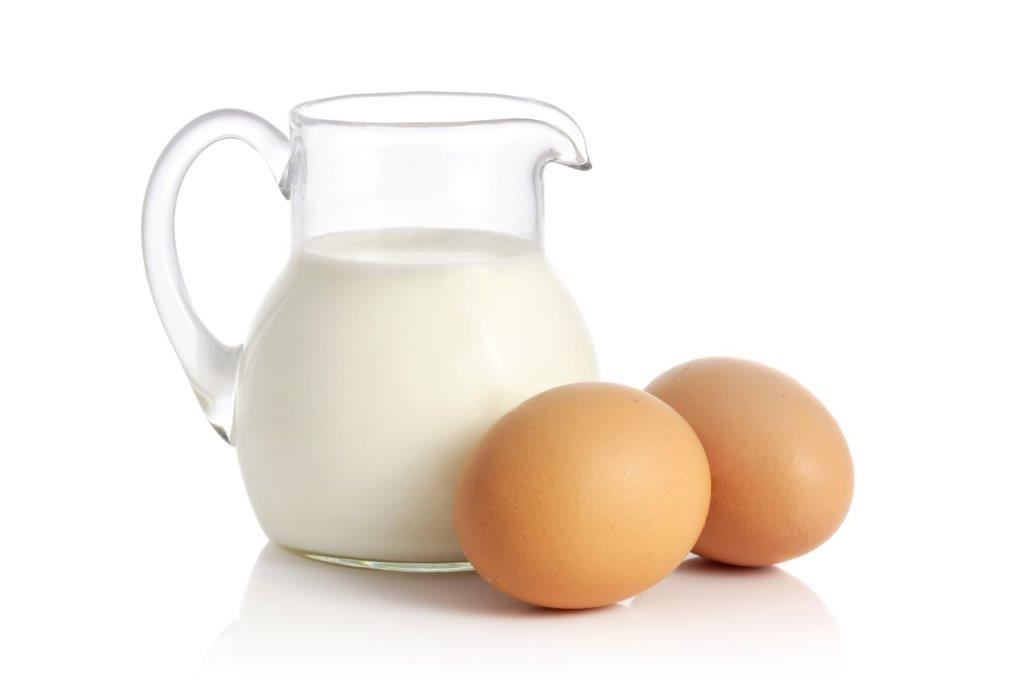 Dairy - Sysco | North